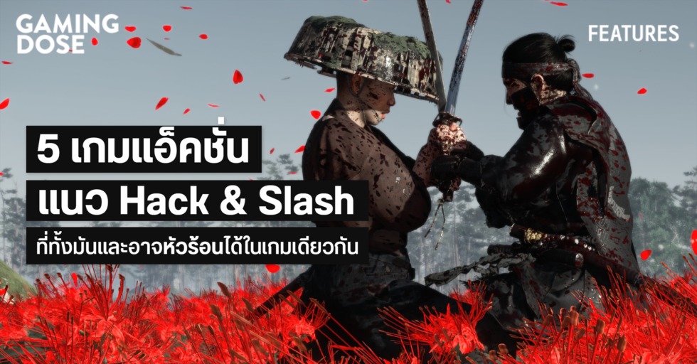 5 เกมแอ็คชั่นแนว Hack & Slash ที่ทั้งมันและอาจหัวร้อนได้ในเกมเดียวกัน ...