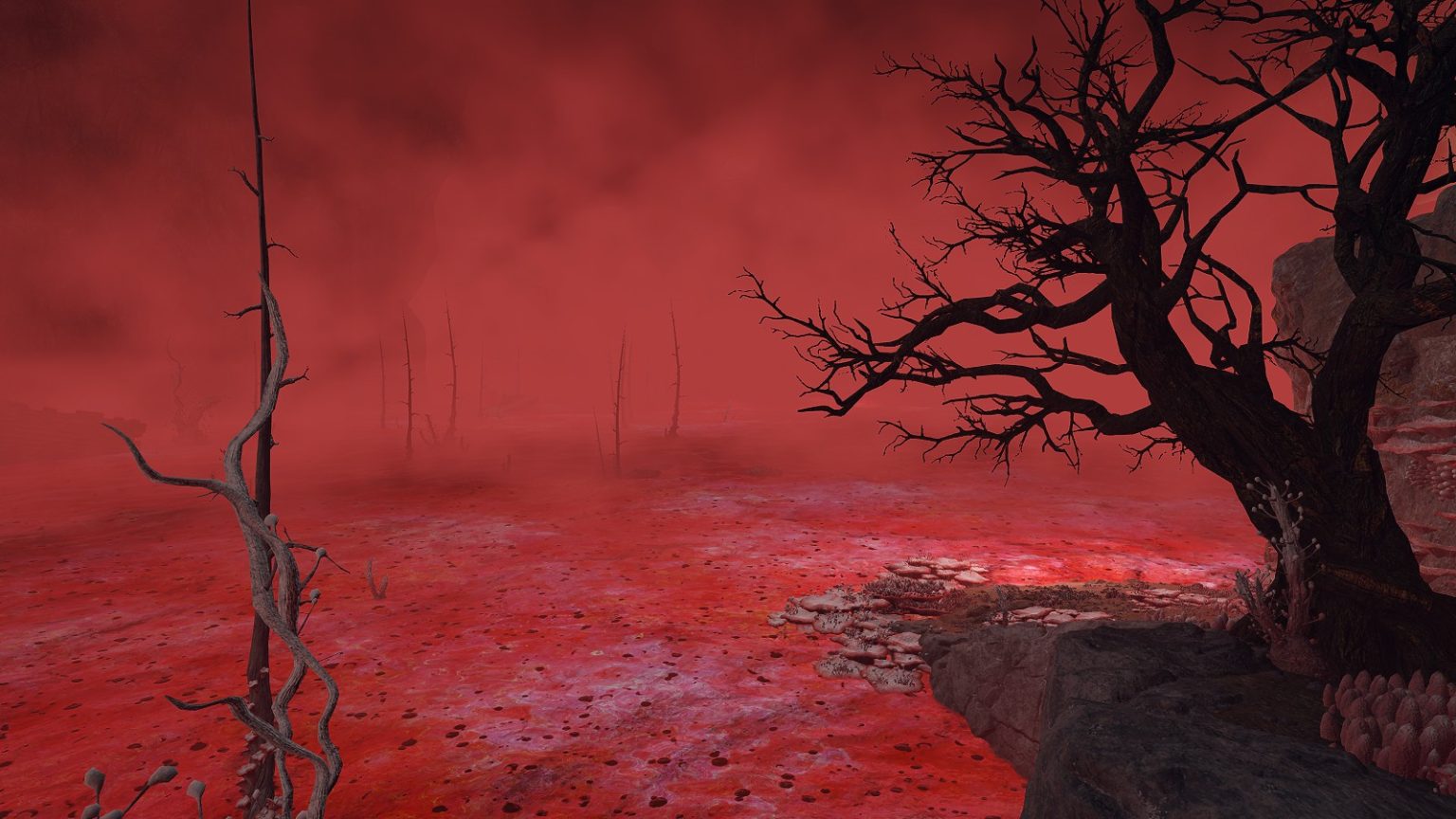 รวมวิธีปราบบอสทั้ง 111 ตัวใน Elden Ring ฉบับกระชับ | GamingDose