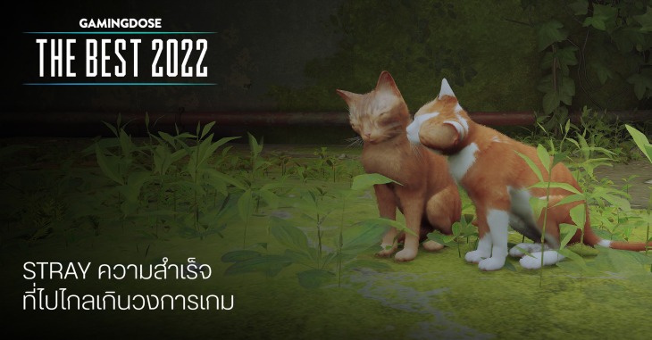 GD The Best 2022 – STRAY ความสำเร็จที่ไปไกลเกินวงการเกม | GamingDose