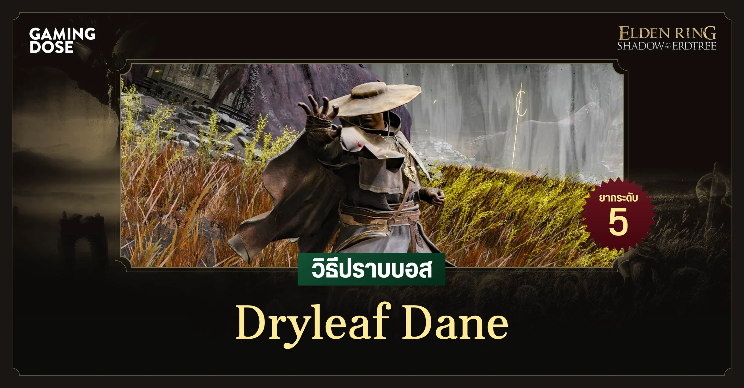 วิธีปราบบอส Elden Ring : Dryleaf Dane (เดนผู้โรยรา) | GamingDose