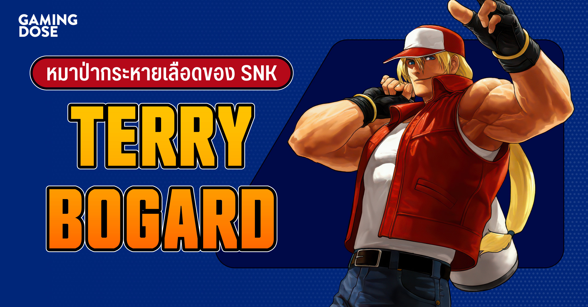 เรื่องราวของ Terry Bogard หมาป่ากระหายเลือด ยอดนักสู้ระดับตำนานของ SNK ...